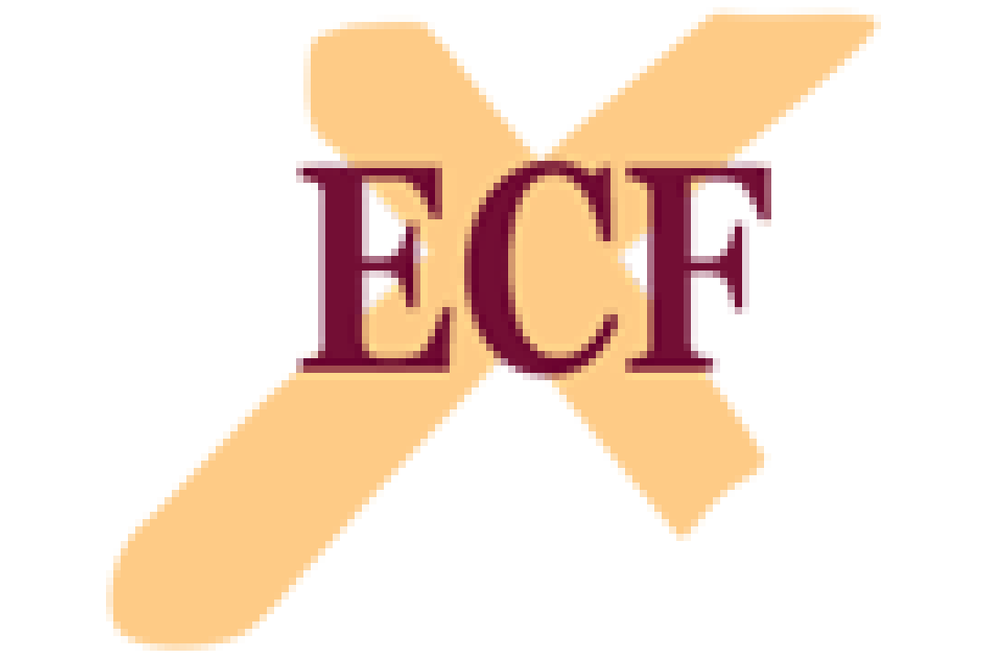 The Electoral Commissions Forum of SADC Countries (ECF-SADC) | Ceni